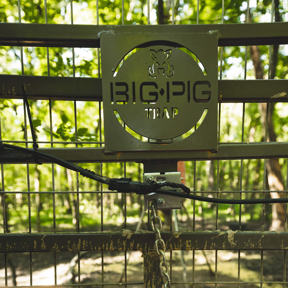 Panel Trap w/HogEye Camera – Big Pig Traps
