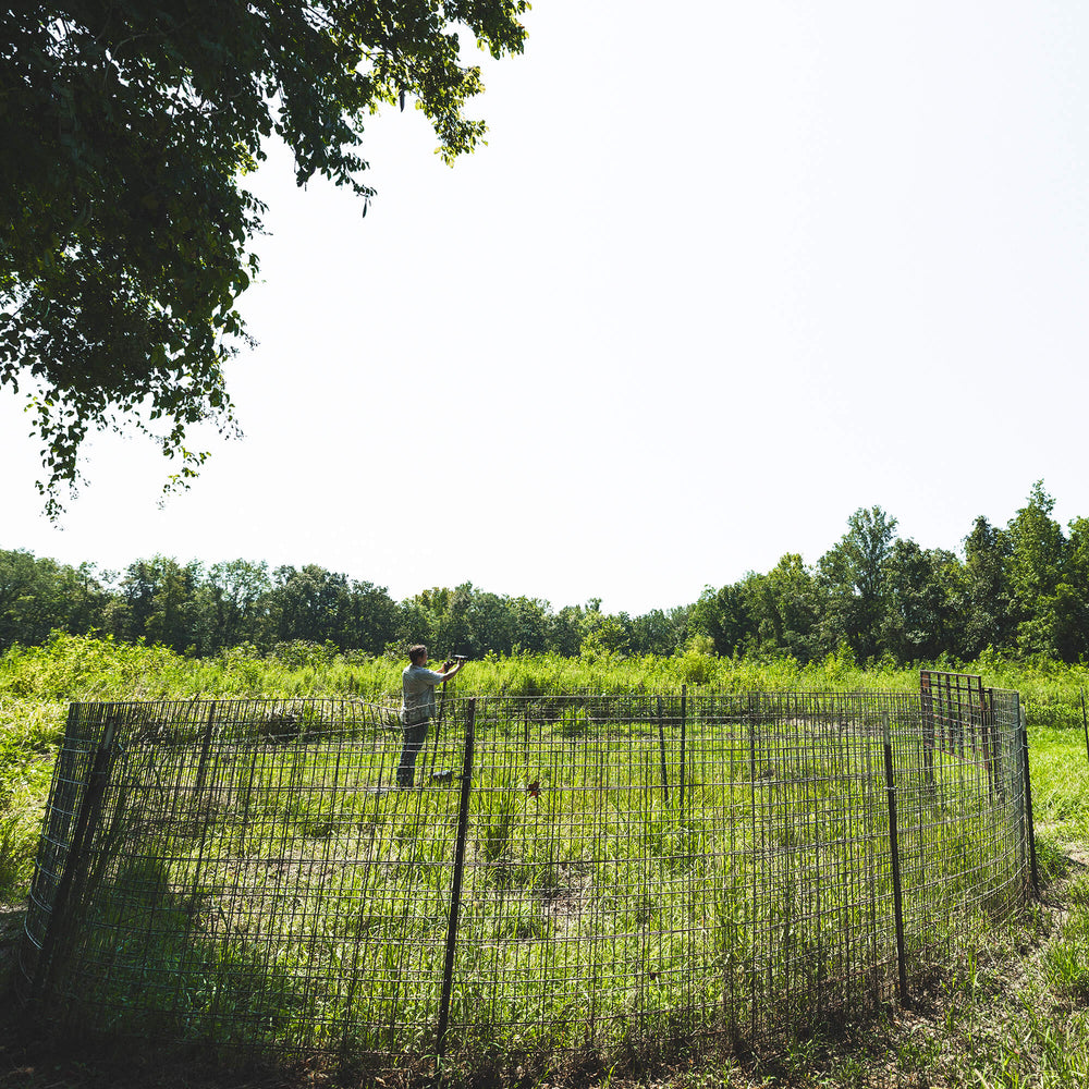Split Gate w/HogEye Camera – Big Pig Traps